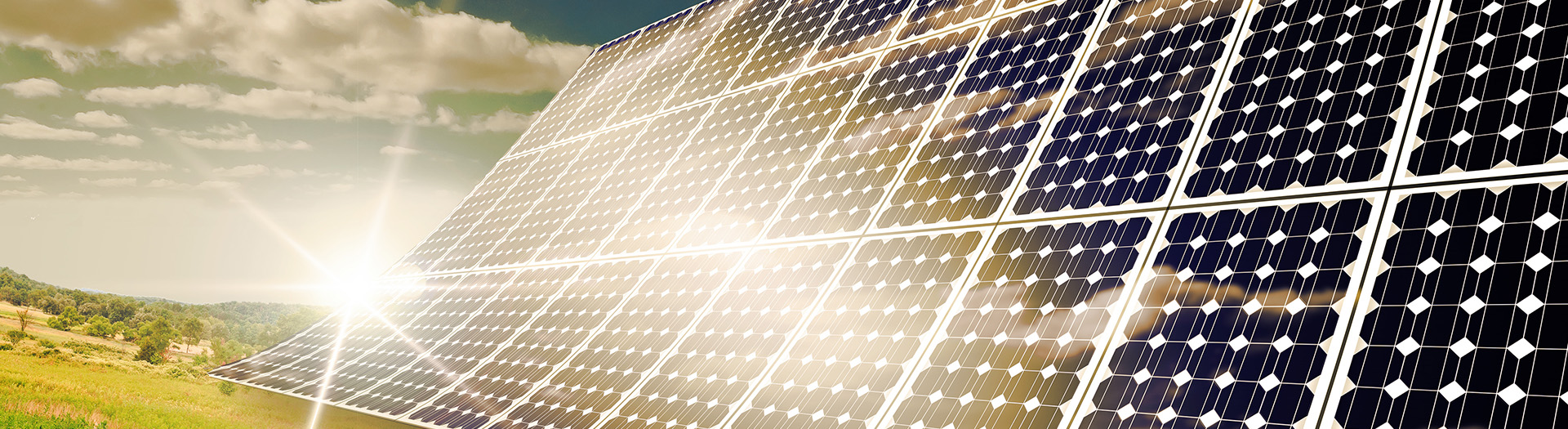 SUNSHINE ENERGY LIMITED